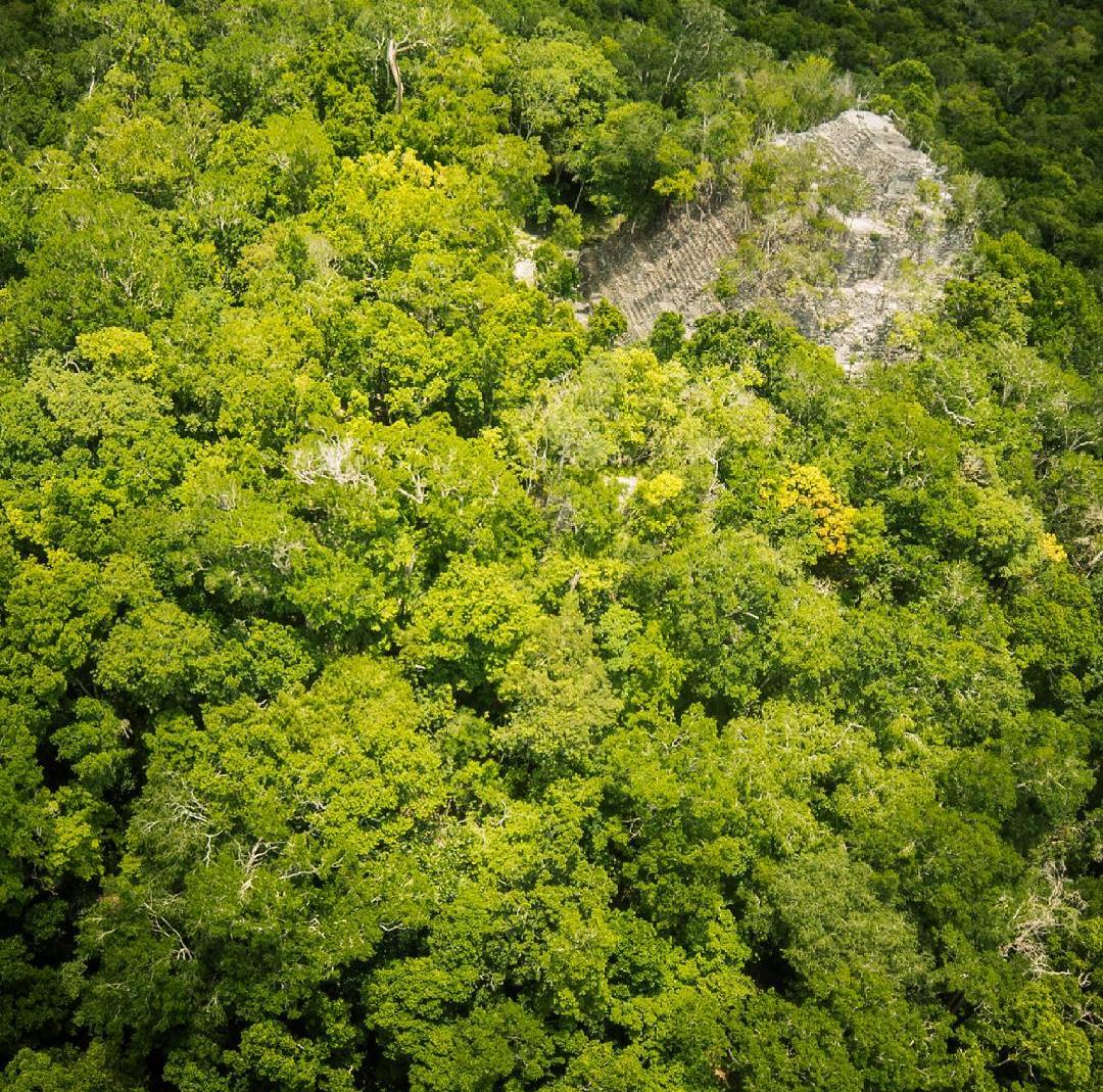 TOUR EN HELICÓPTERO “LA DANTA” EL MIRADOR – Tikal Expedition
