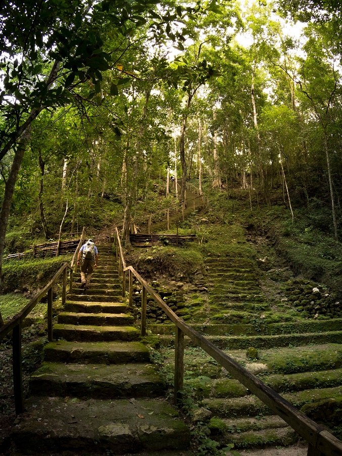 EXPEDICIÓN “LA DANTA” EL MIRADOR 05 DÍAS - Tikal Expedition