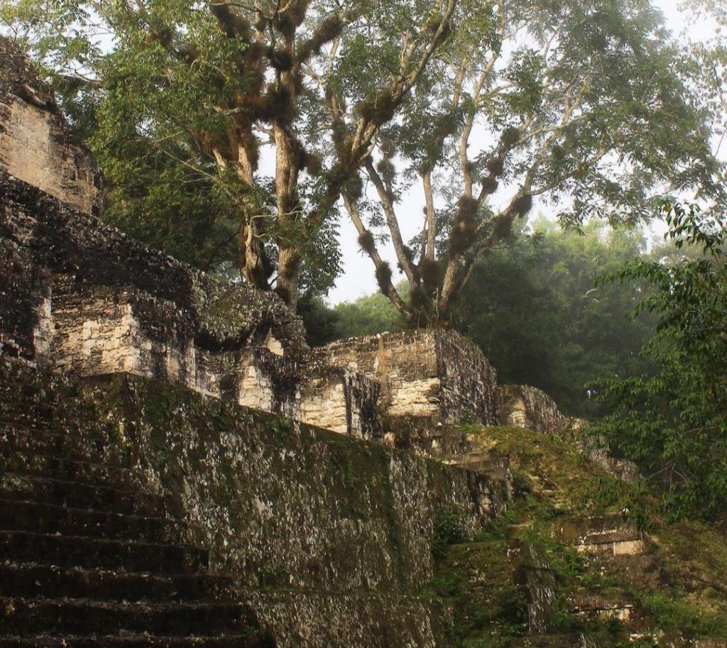 TIKAL TOUR PRIVADO DESDE CIUDAD GUATEMALA – Tikal Expedition