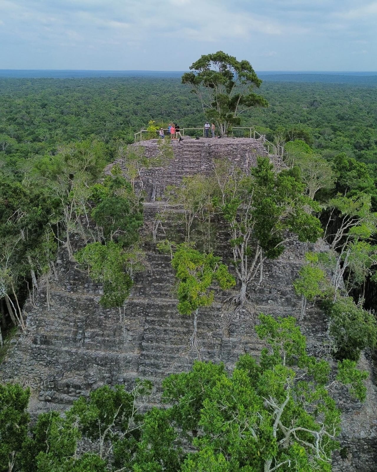 El Mirador y La Danta: la ciudad maya más imponente oculta en la selva ...